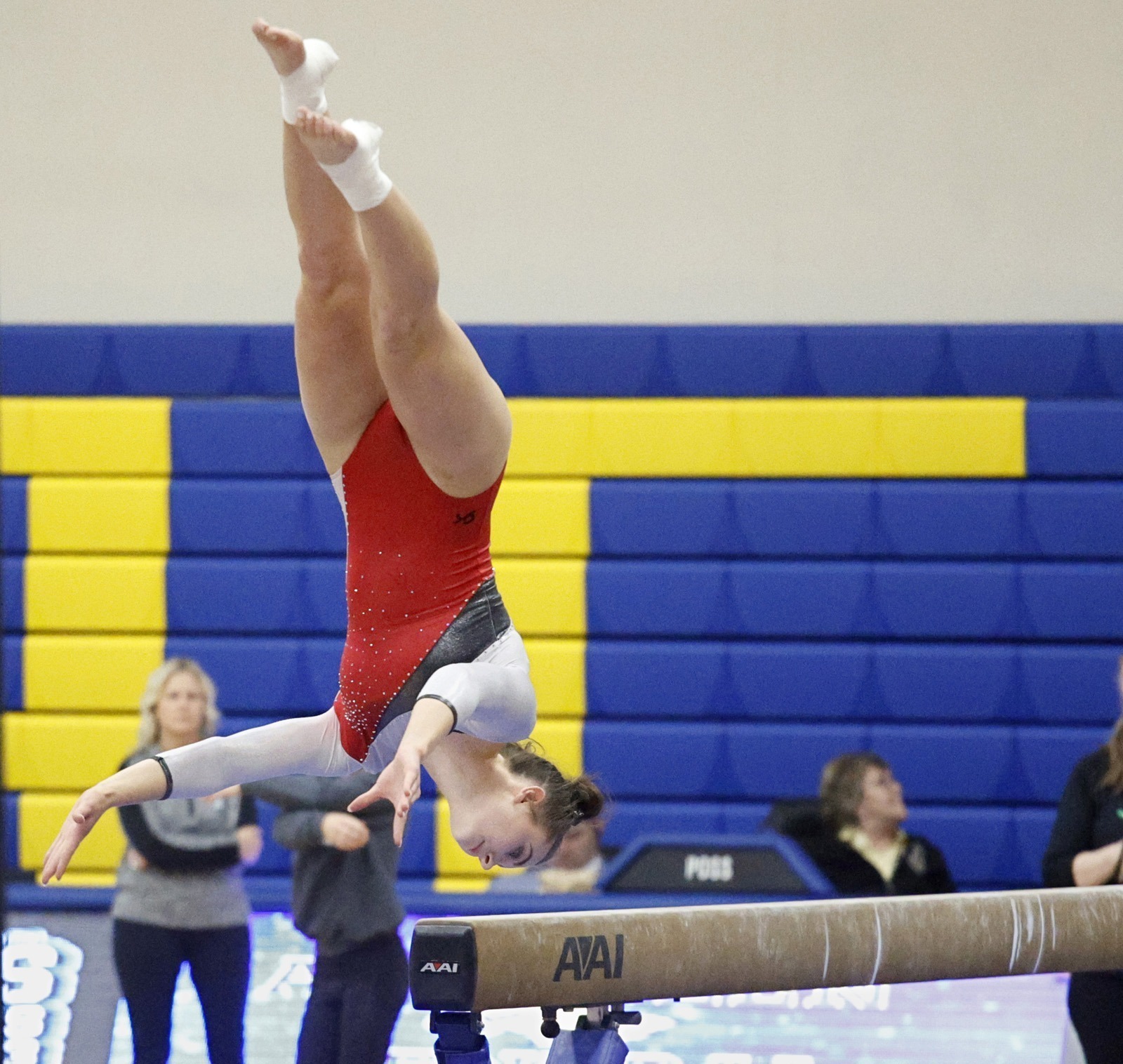 Records fall during individual competition at gymnastics meet – SD ...