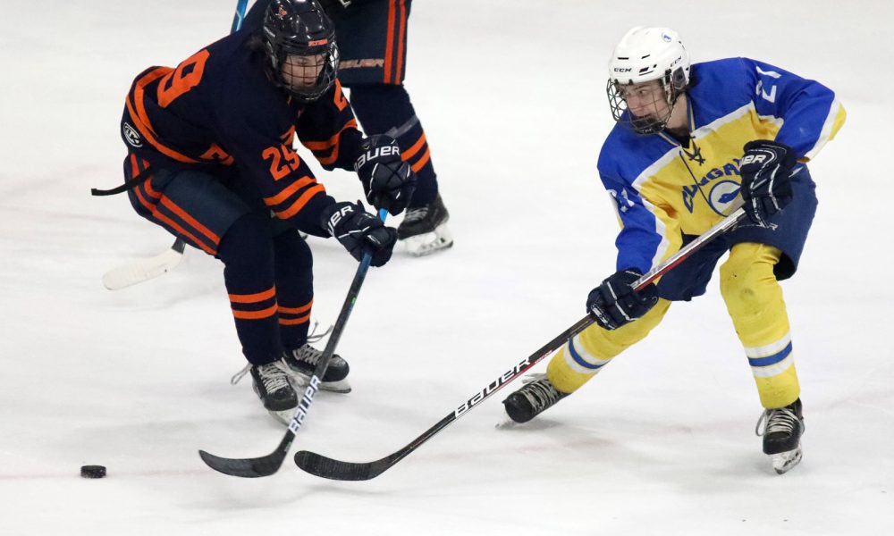 Cougars Rack Up Dozen Goals Against Huron Sd Sportscene
