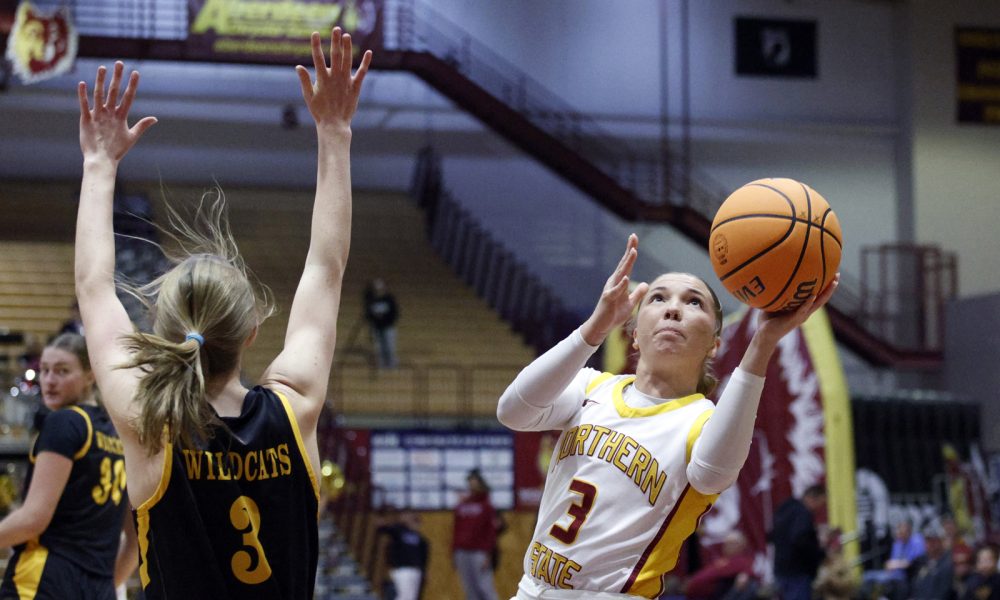Fillipi helps power Wolves past Wayne women – SD SportScene