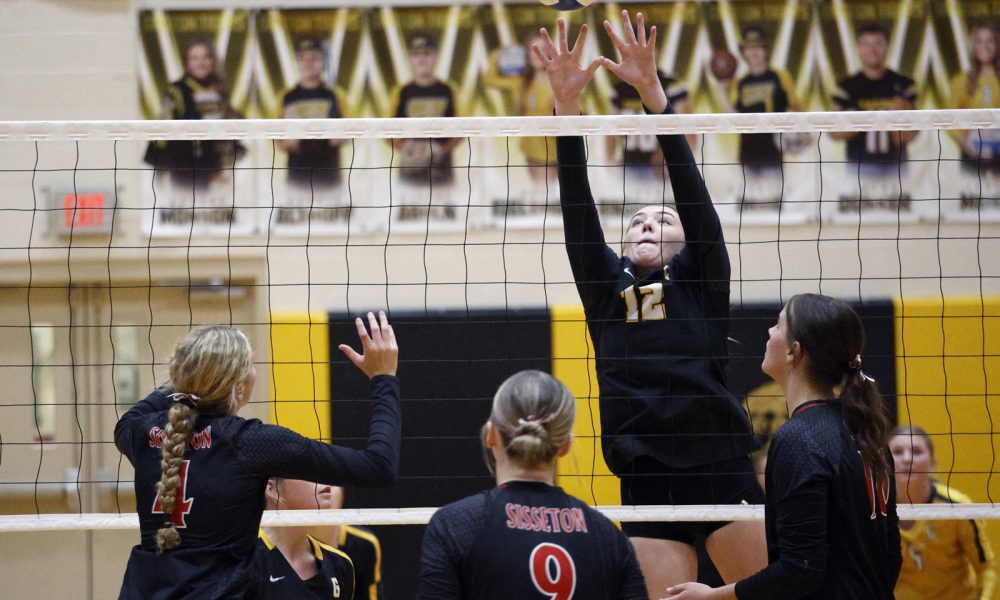 Volleyball Roundup – SD SportScene
