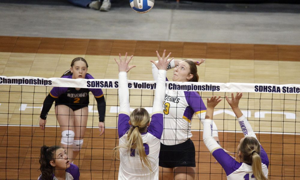 Wolverines finish season with win over Harding County – SD SportScene